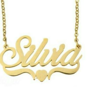stainless steel | Jewelry | Stainless Steel Silvia Name Chain Necklace ...